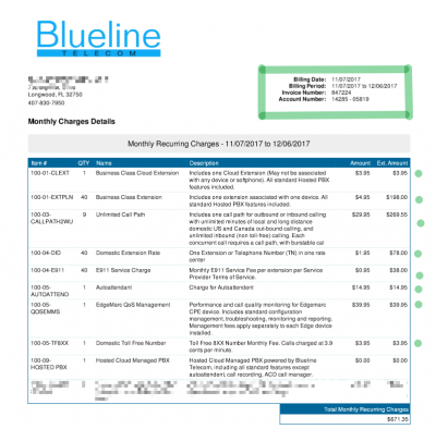 Understanding your Blueline Invoice - Blueline Telecom